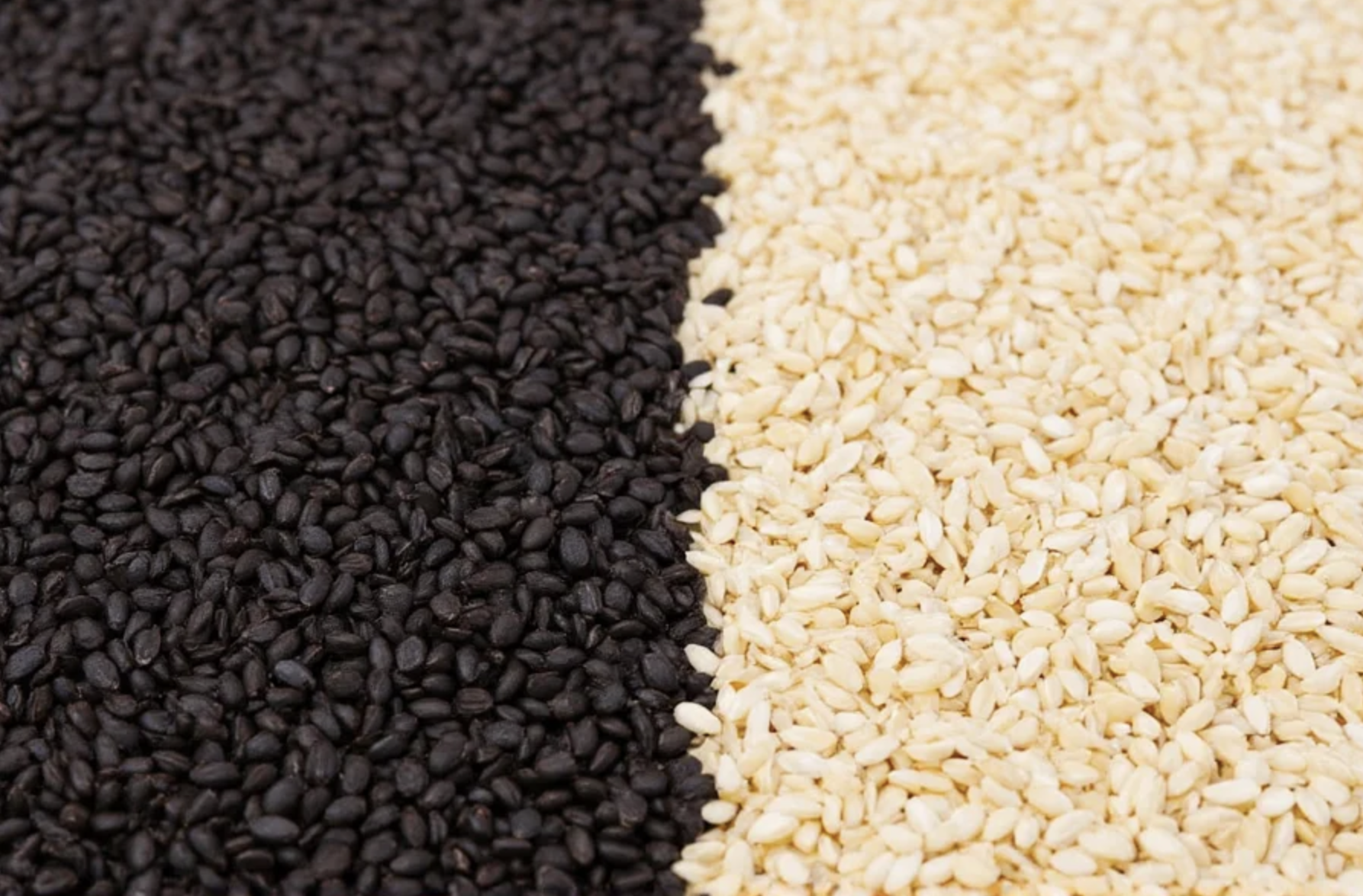 Sesame Seeds - Ascex